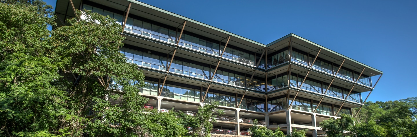 Our Impact | Buccini Pollin Group