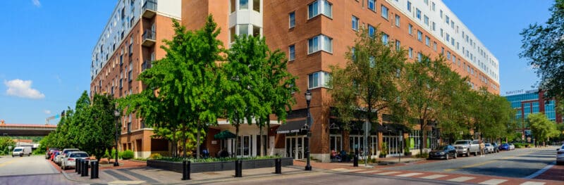 David B. Pollin | Buccini Pollin Group